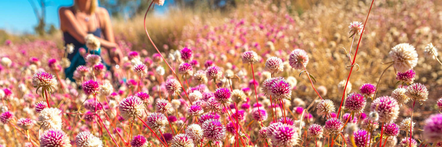 Stirling Range Trails